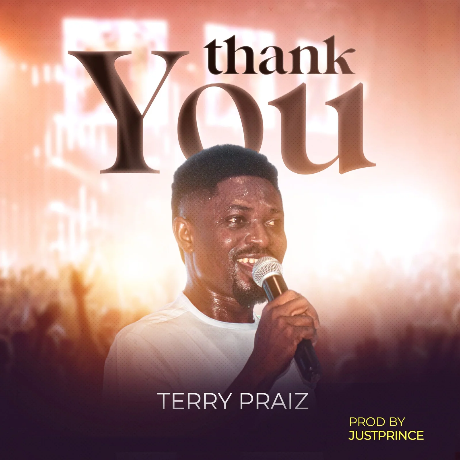 Terry Praiz’s ‘Thank You’—A Soul-Stirring Anthem of Gratitude and Faith ...