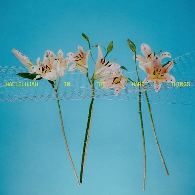 [Music + Video] Bryan and Katie Torwalt - Hallelujah In The Hard Things ...